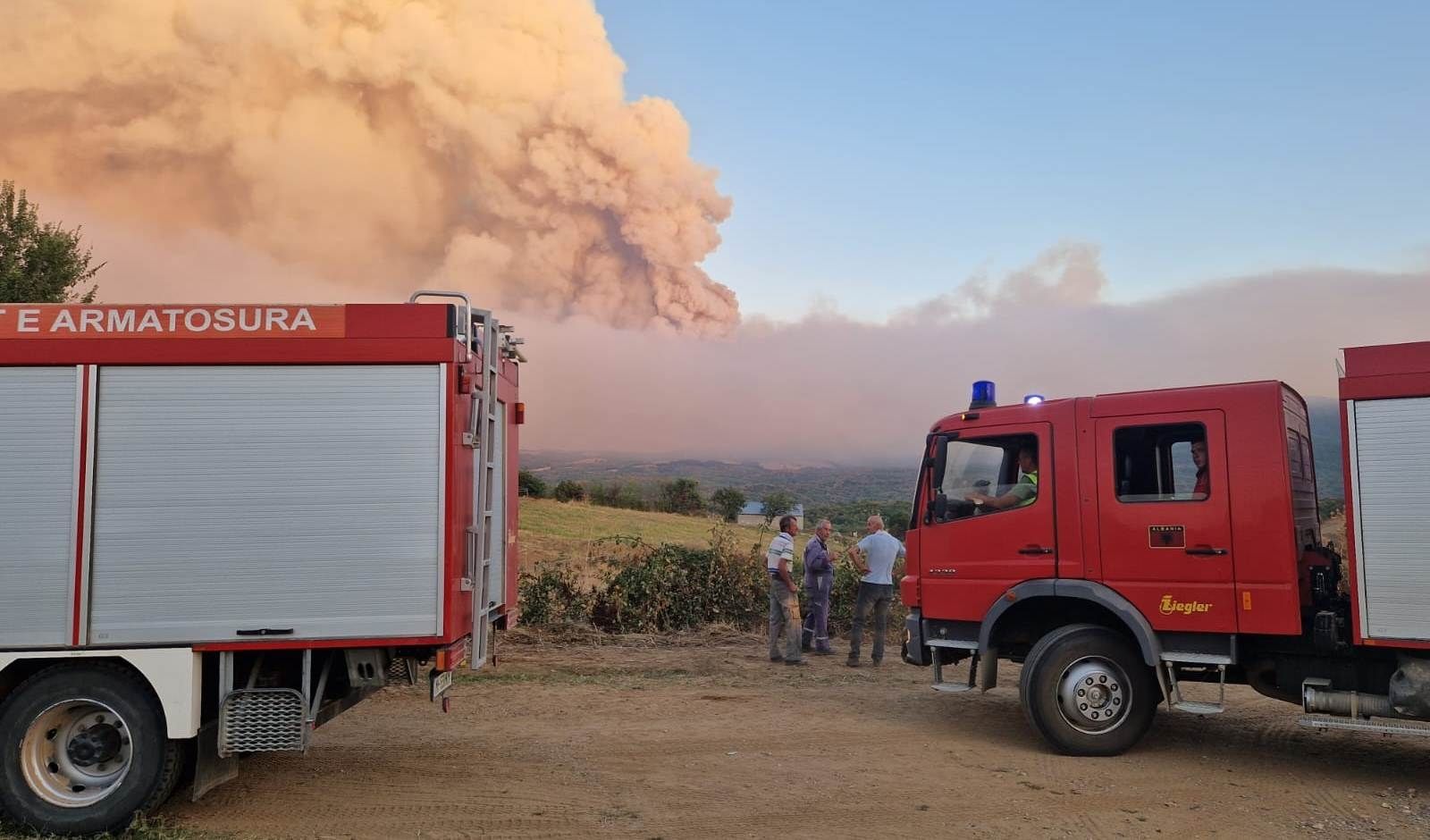 Greece boosts special firefighting units to cope with its growing heat ...