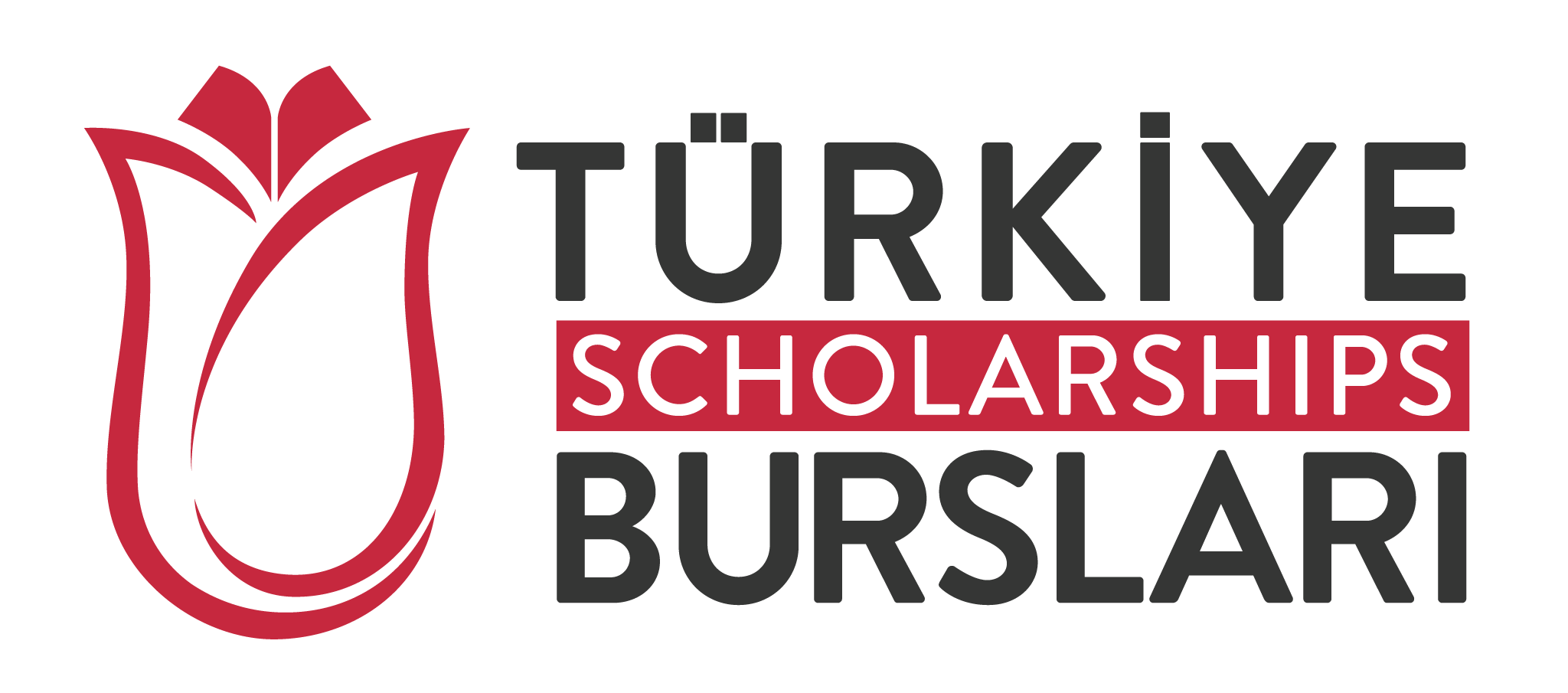 YTB Türkiye Scholarships 2024 application results announced | Millet News