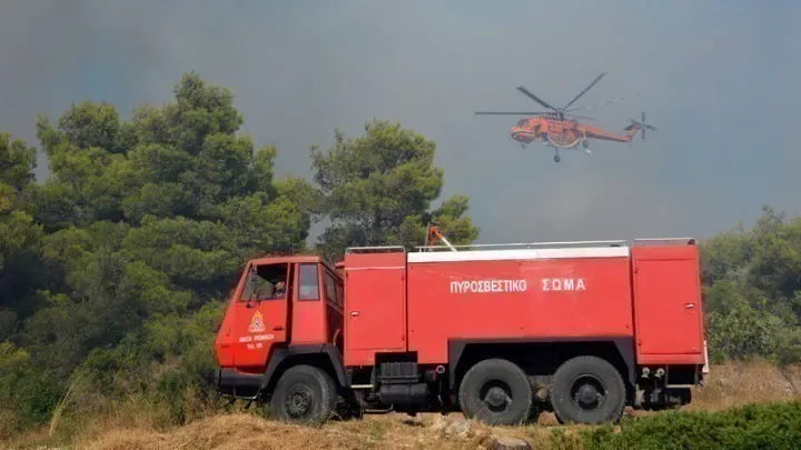 METEO and WWF Greece report: Increased number of fires during this year ...