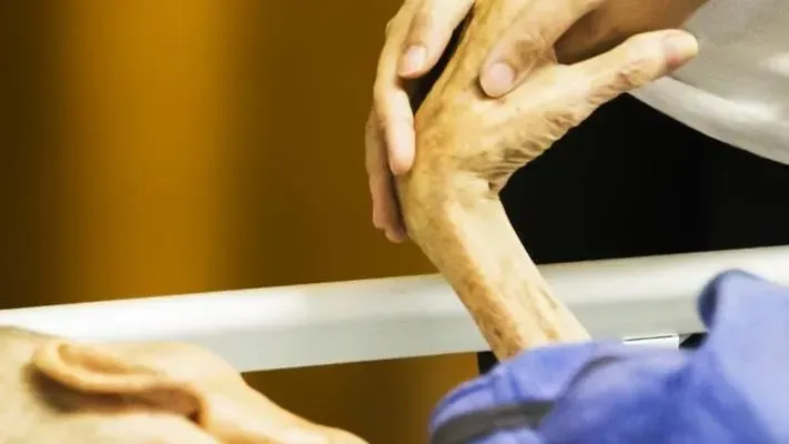 French parliament adopts assisted dying bill | Millet News