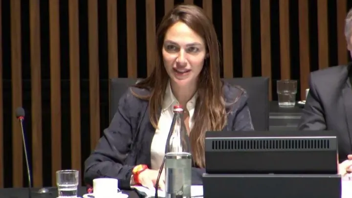 Michailidou: Demographic and housing policy key to Europe’s survival ...
