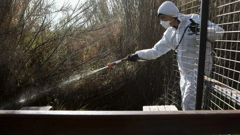 EODY detects first West Nile virus cases of 2025 in Greece | Millet News
