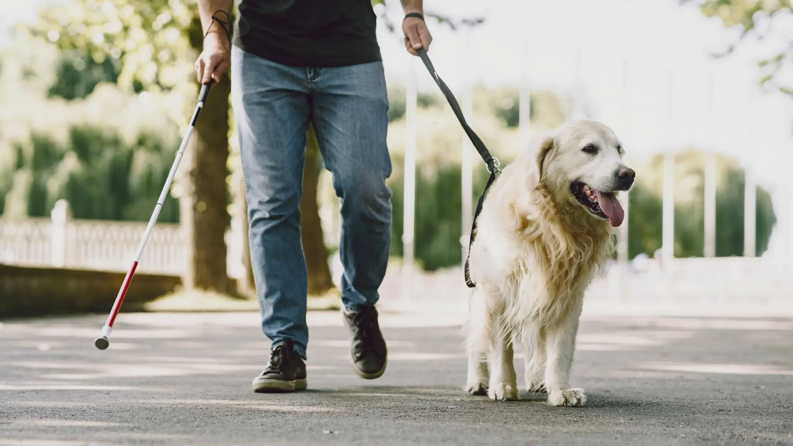 Tourism Min: Pet-friendly tourist accomodation to carry special sticker ...
