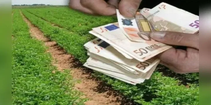 AADE launches VAT refund process for farmers: Applications now open ...